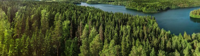 Pickle Lake Property (First Mining) - GT Resources Inc.